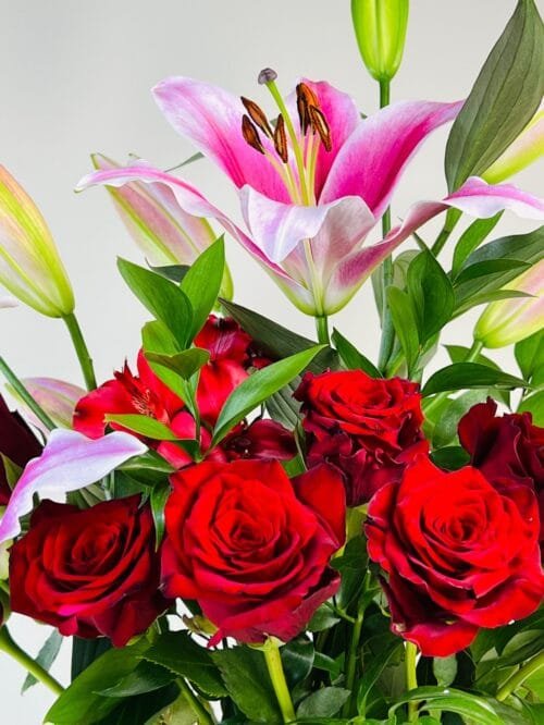 Buy Shop Flowers & Gifts from Flower Club