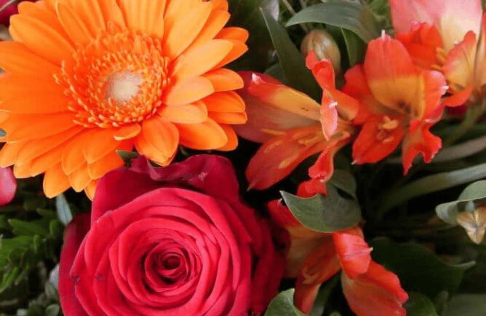 7 Birthday Flowers Trending In 2022 | Birthday Flowers Melbourne