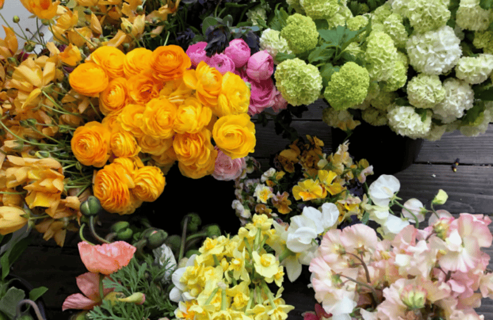 5 Flowers to Buy for Dad This Father’s Day | Flower Club