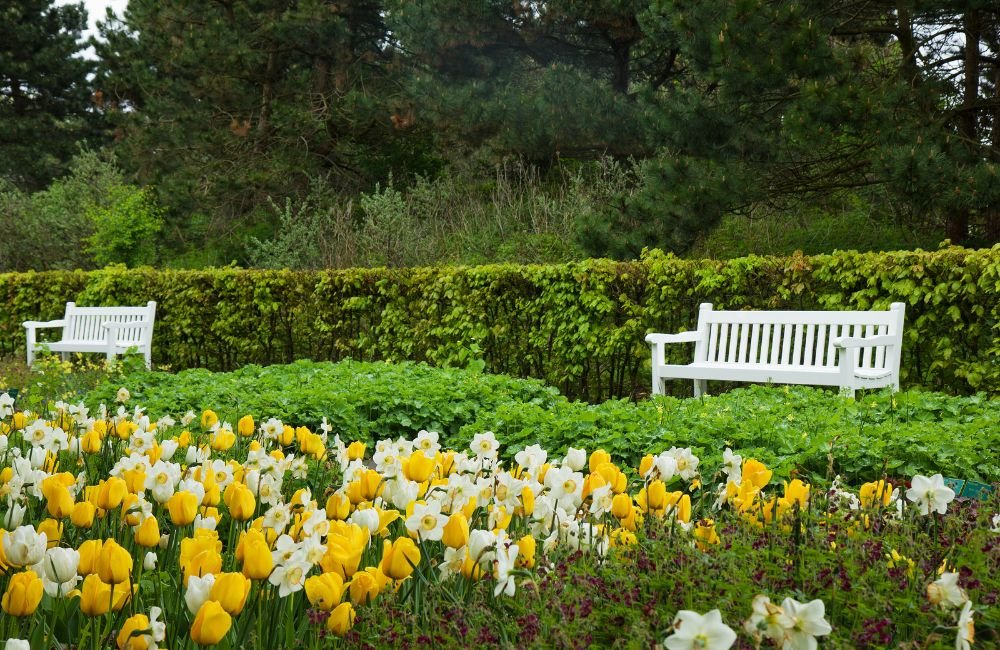 4 Must-Have Flowers for Your Spring Garden: 2024 Edition